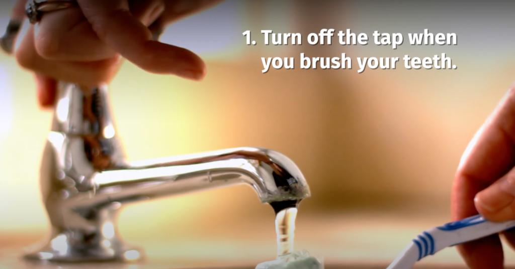 CV Conservation Strategy